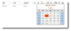 Date Field Test Cases [ Date Picker & Date Of Birth ] 2024